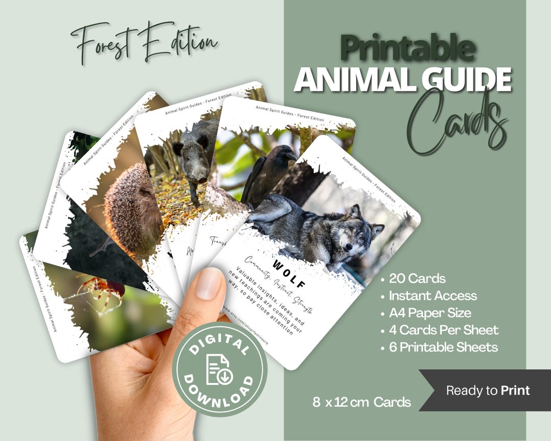 Forest Spirit Animal Deck | Animal Guidance Cards | Intuitive Guidance ...