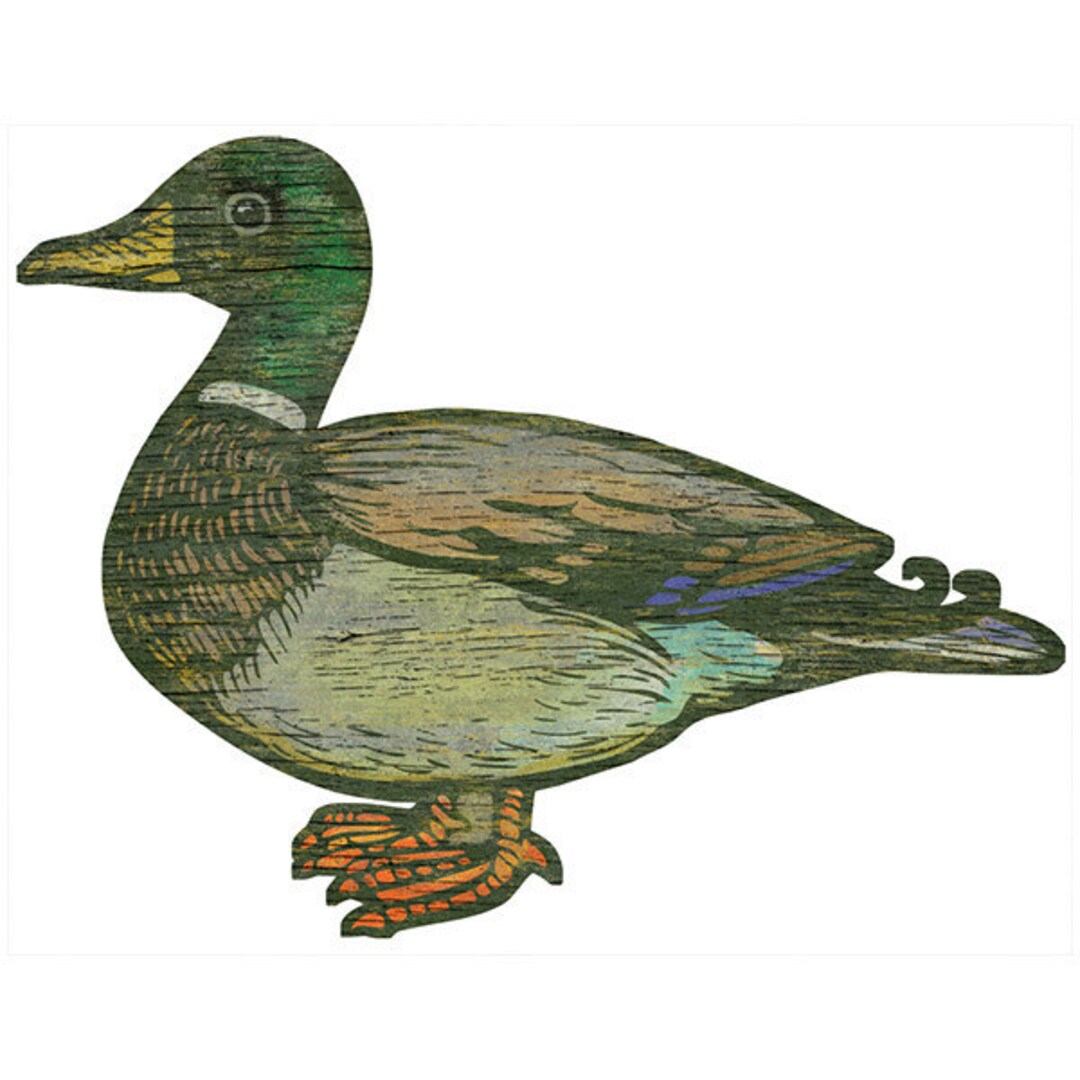 Duck Farm Animal Wall Decal - Etsy