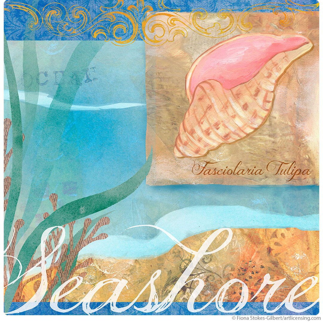 Seashore Shell Collage Beach Wall Decal Vintage Style - Etsy