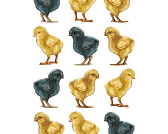 Funny Vinyl Sticker cool Chick Gift for Friend - Etsy