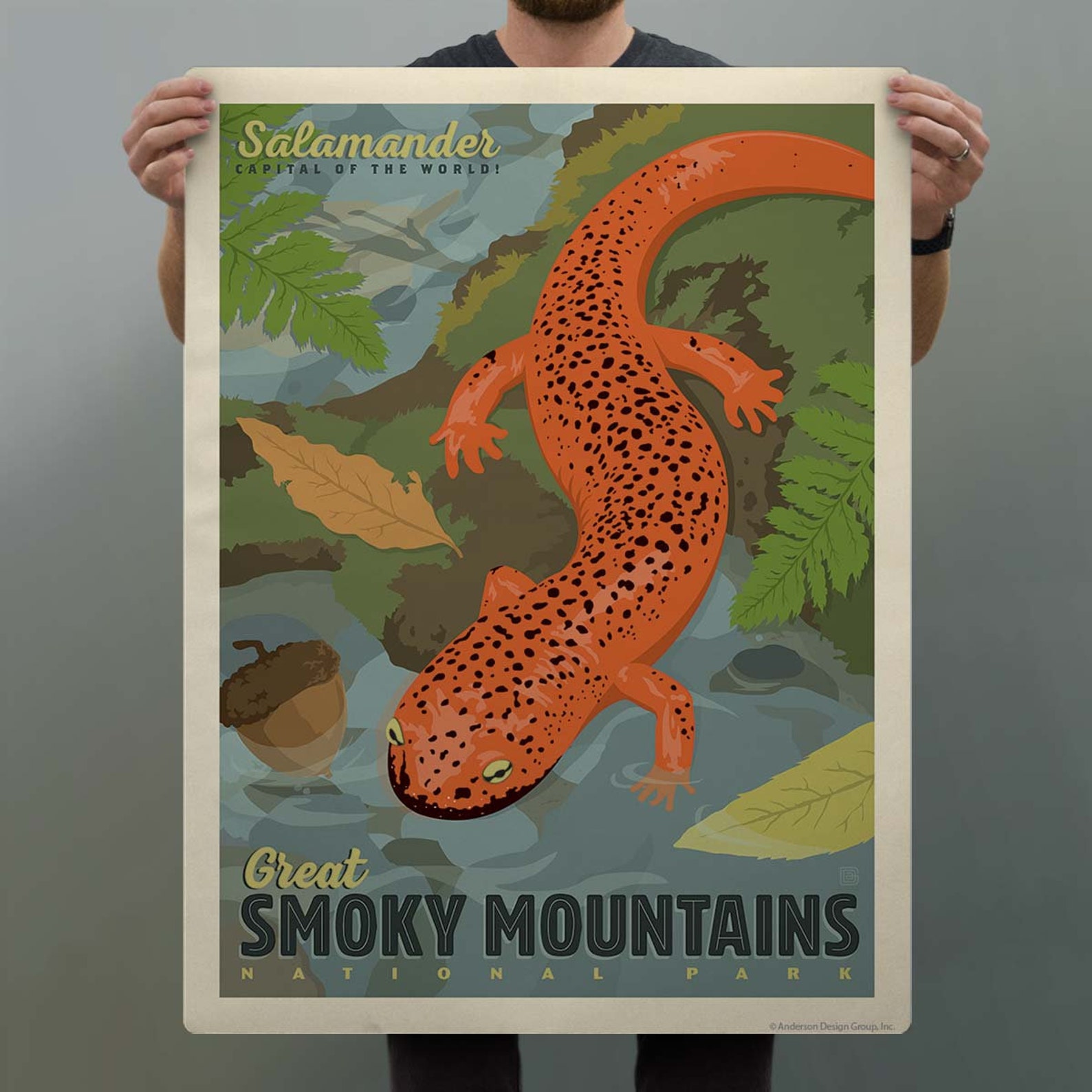 Red Salamander Decal Smoky Mtns National ParkVinyl DecalPeel | Etsy