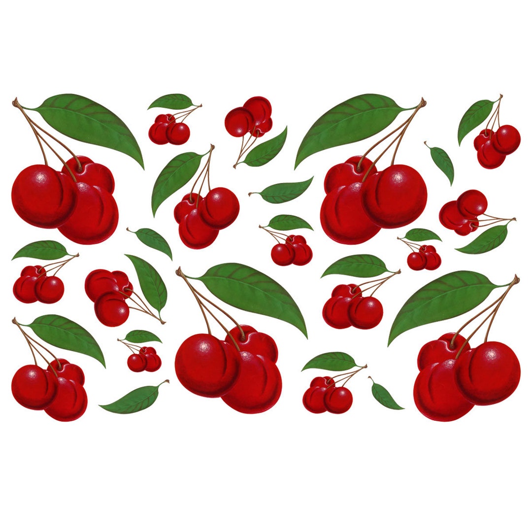 Juicy Cherries Vinyl Stickers, Set of 17, Great for Crafting ...