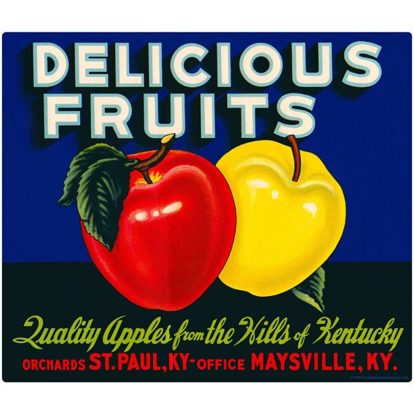 Delicious Fruits Kentucky Apples Wall Decal - Etsy