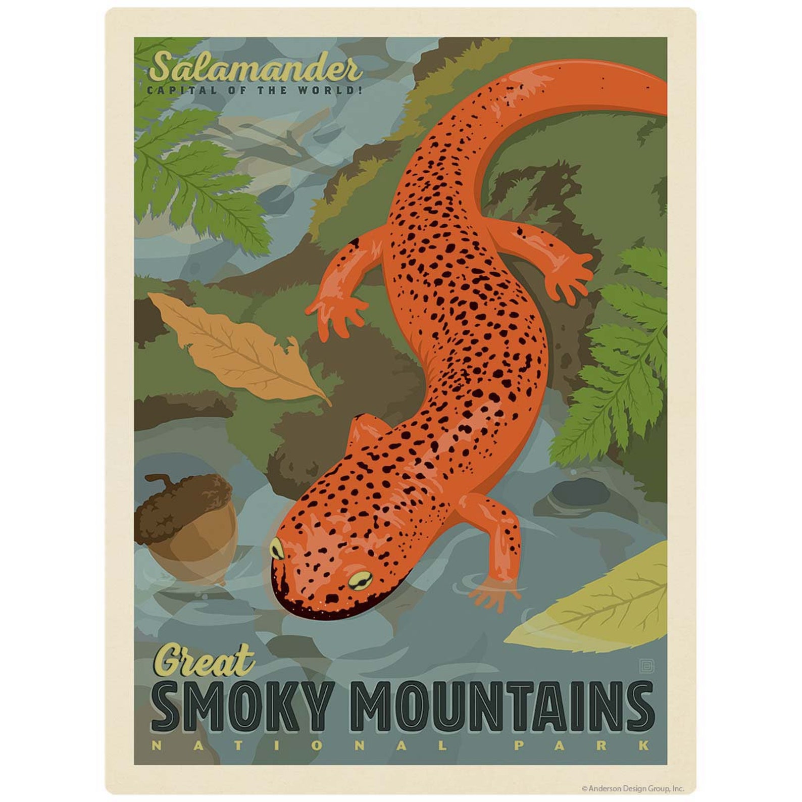 Bumper Sticker: Red Salamander Vinyl Sticker Smoky Mtns National Park ...