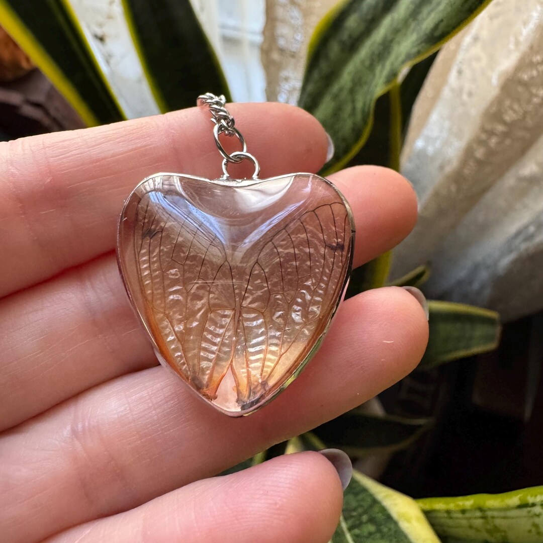 Large Sized Bubble Glass Heart Cabochon Necklace With Real Cicada Wings ...