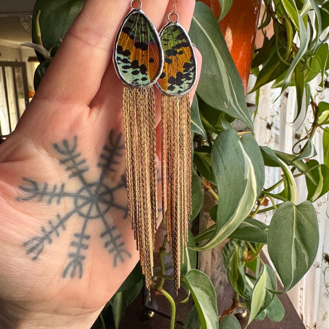 Dangle Fringe Real Butterfly Wing Double Panes Glass Earrings - Etsy
