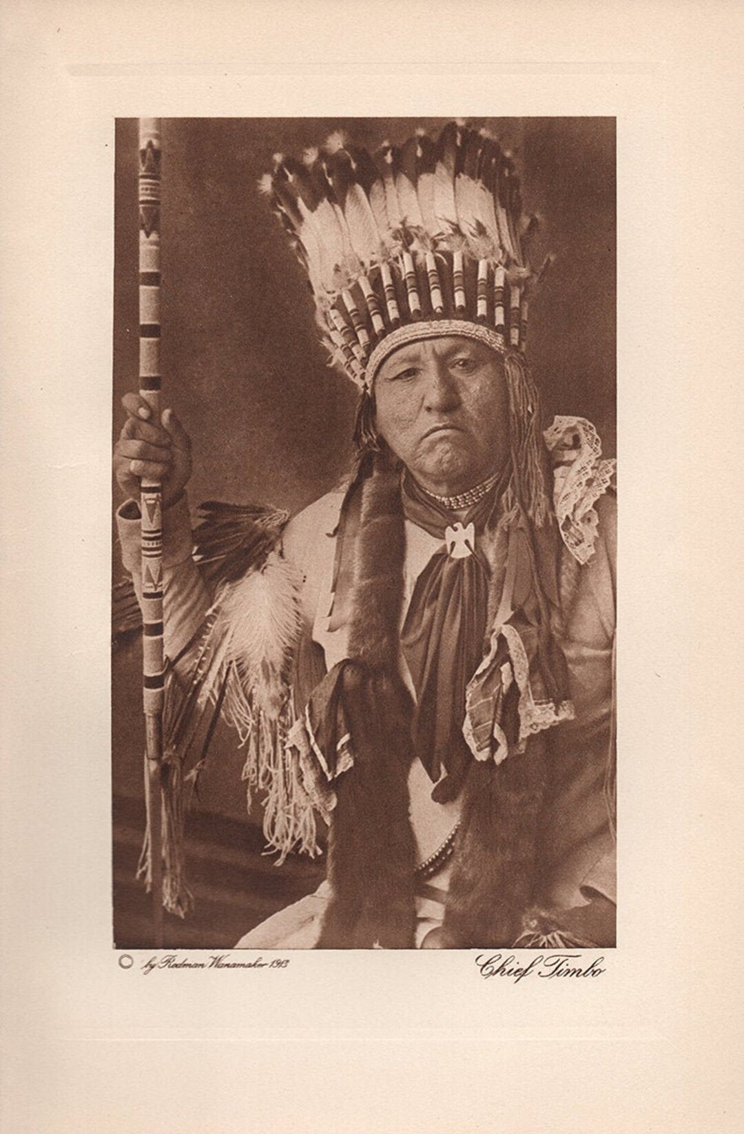 THE VANISHING RACE - Chief Timbo - Vintage 1914 Photogravure, Native ...