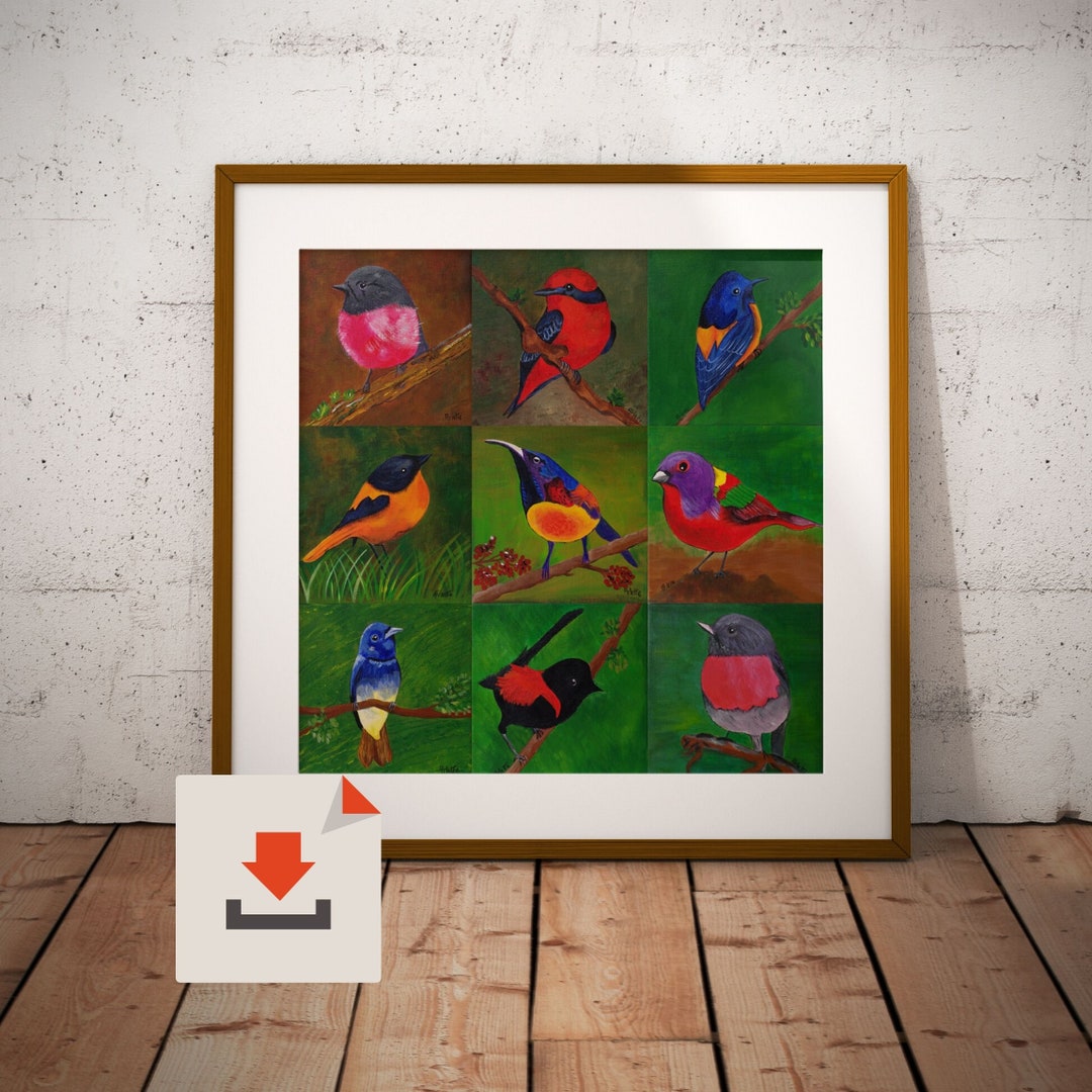 Colorful Birds Illustration Art Print (digital Download) - Etsy