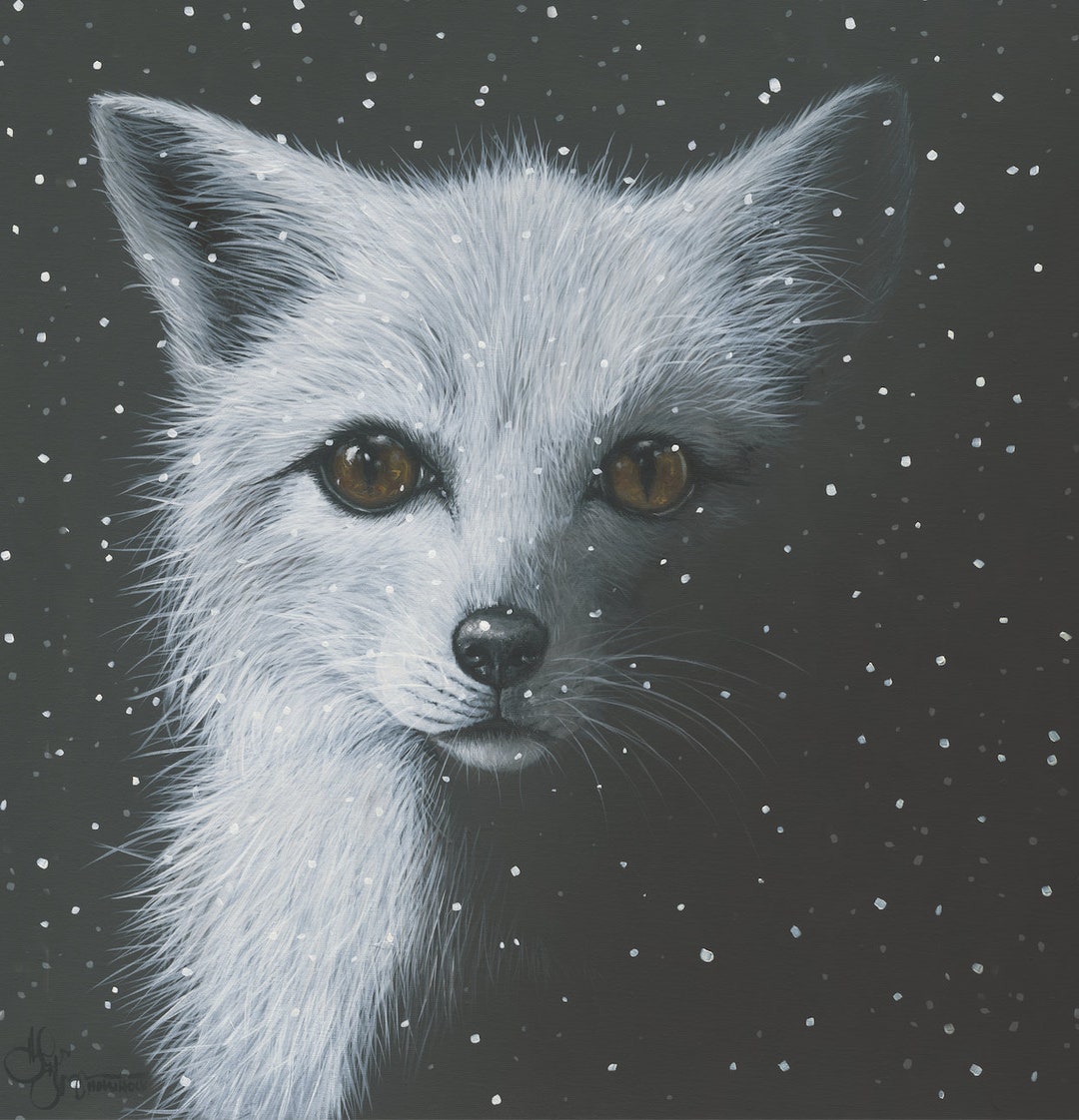 White Fox Paper Print - Etsy