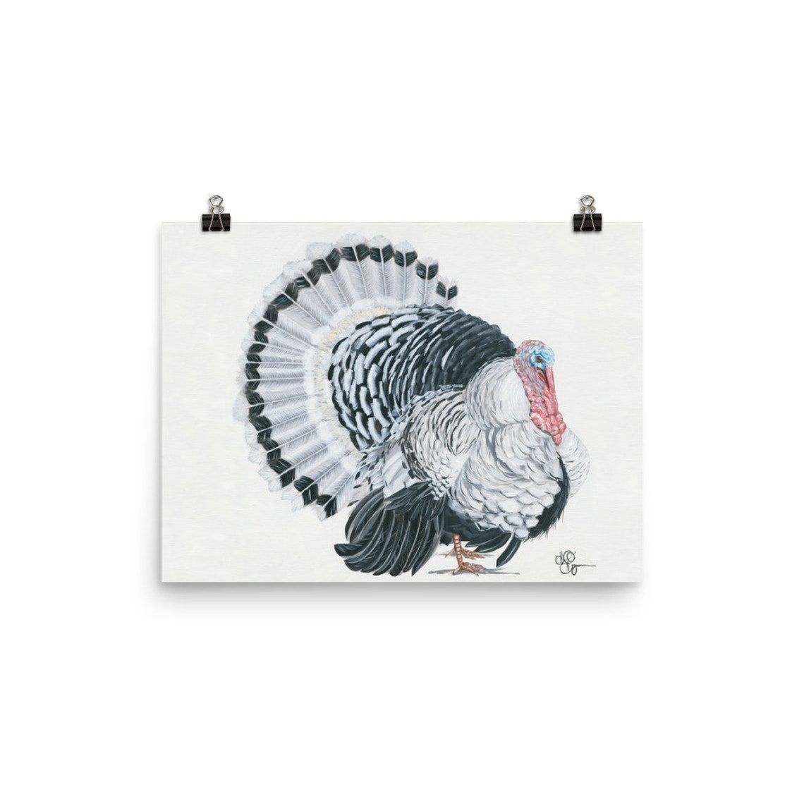 Black and White Turkey Paper Print - Etsy