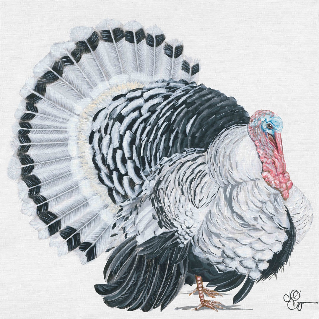 Black and White Turkey Printed Canvas - Etsy
