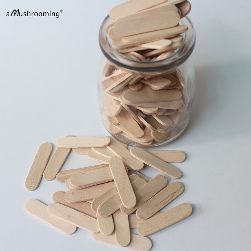 Wooden Ice Lolly Sticks - Etsy