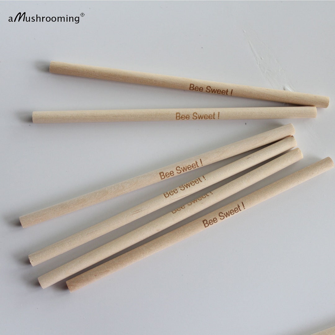 Birchwood Cake Pop Sticks, Personalized Round Lollipop Sticks 5.5inch ...