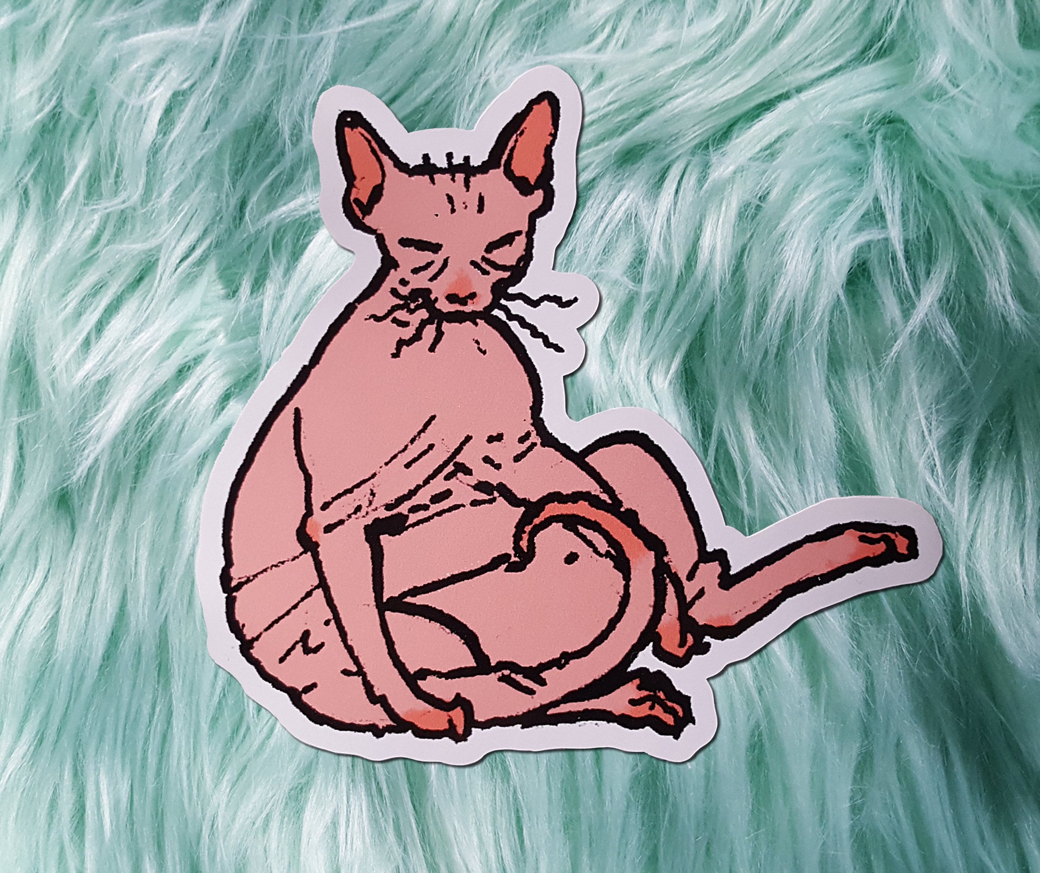 Fat Sphynx Hairless Cat Waterproof Vinyl Sticker - Etsy