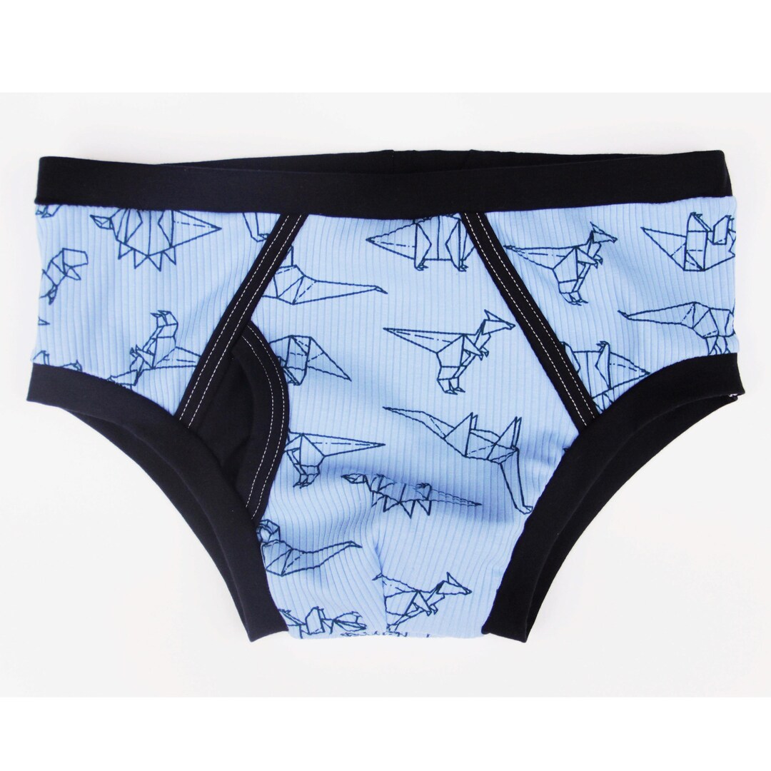 Men's Cotton Briefs. Origami Dino on Blue Background - Etsy