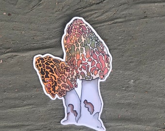 Morel Mushroom Sticker - Etsy