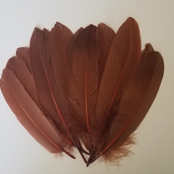 Brown Feathers - Etsy