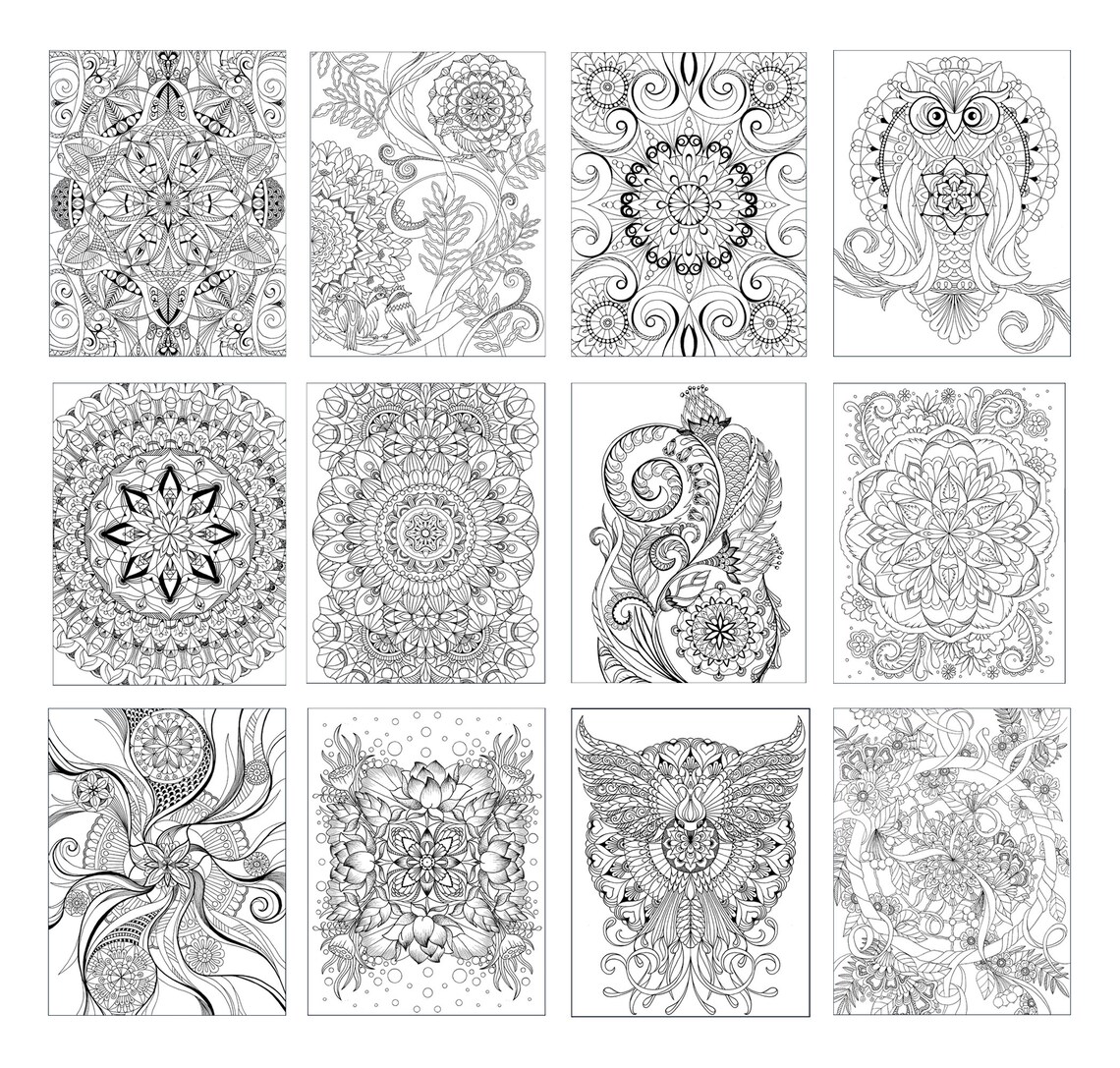 Nature Inspired Floral Mandala Coloring Pages for Adults Printable 12 ...
