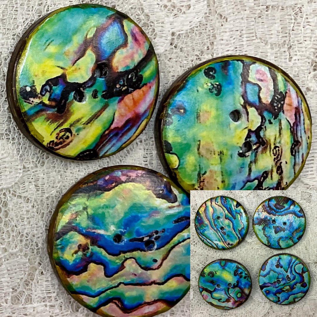 1.18” Abalone-paui Shell Prints -assorted- Embellishment- Clothing ...