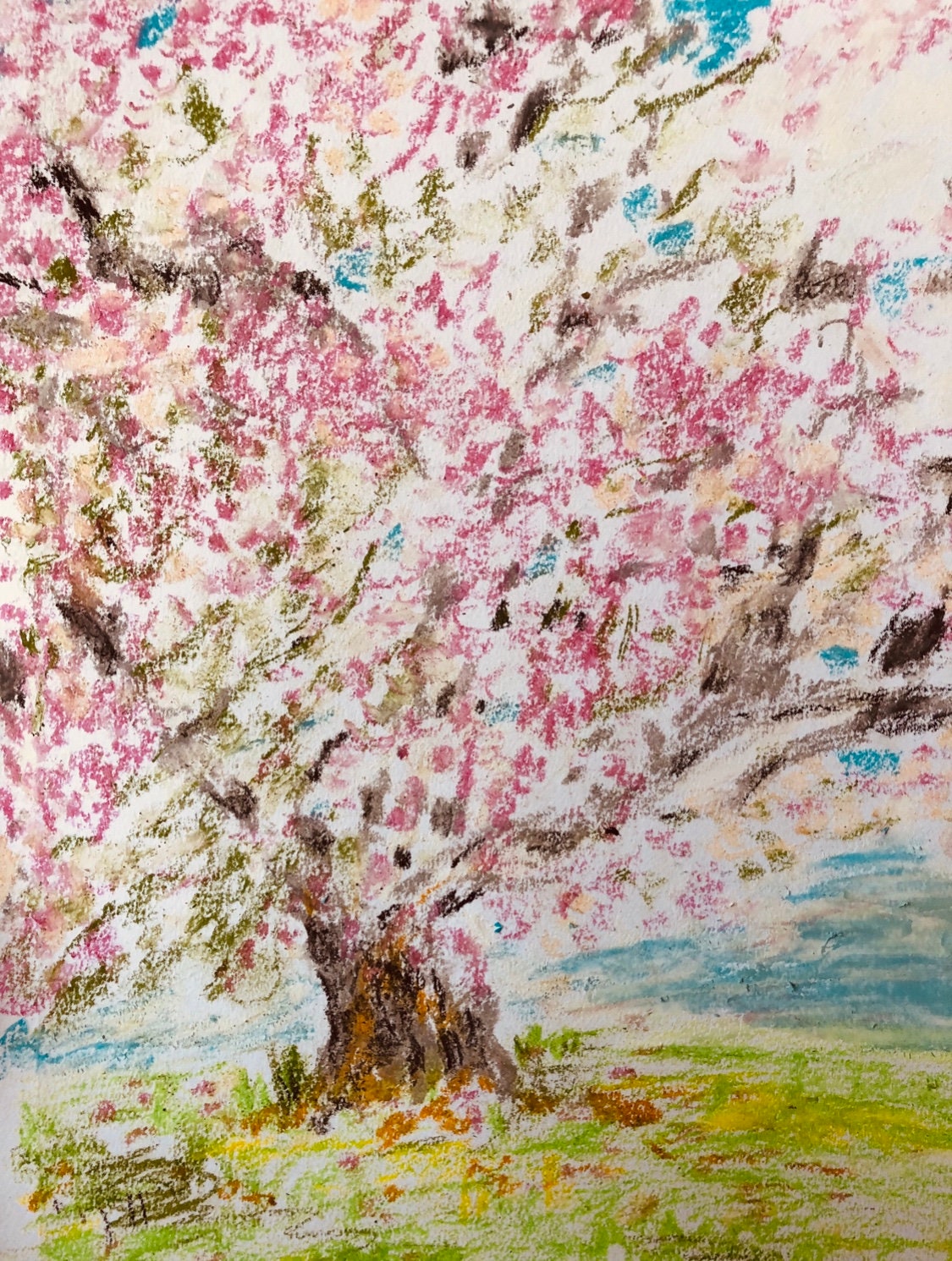 Cherry Blossom Tree of Life - Etsy