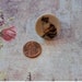 Miniature Calico Cat Plate With Holder for Your Doll House - Etsy