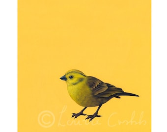 Alabama Yellowhammer - Etsy