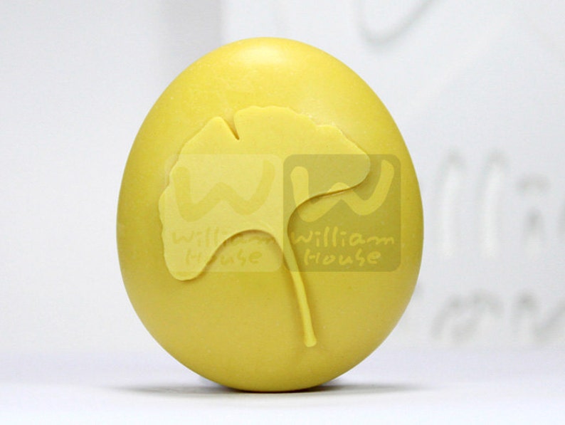 Ginkgo Leaf II Handmade Design Soap Mold - Etsy