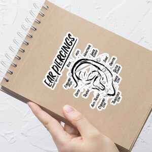 Ink Ear Piercing Chart Sticker Various Types of Ear Piercings Stickers ...