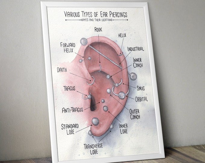 Face Piercings Infographic Wall Decor Chart Vintage Grunge Poster Face ...