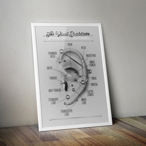 Ear Piercing Chart Infographic Print Wall Art Black and Grey (matching ...