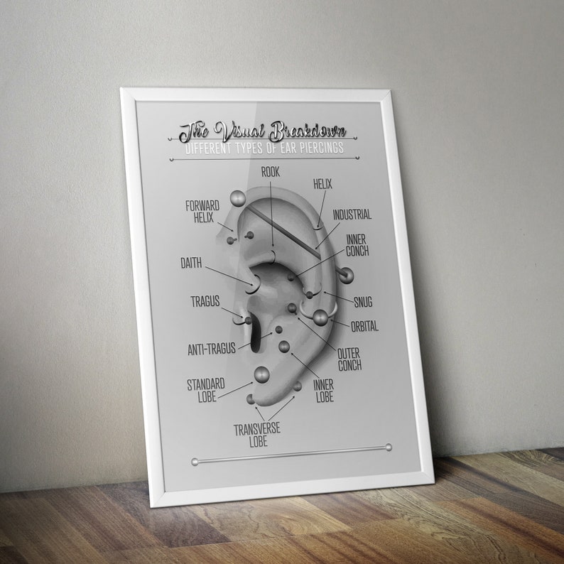 Ear Piercing Chart Infographic Print Wall Art Black and Grey (matching ...