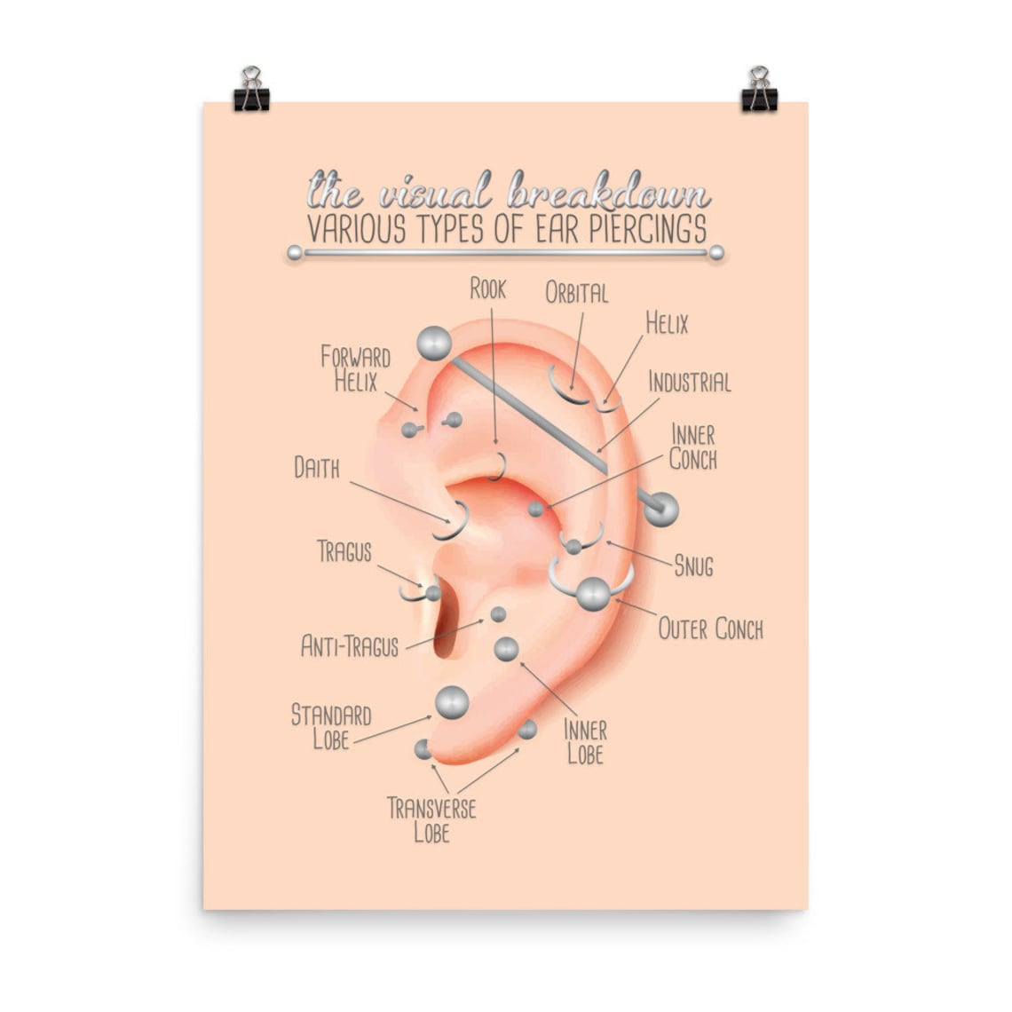 Ear Piercing Chart Infographic Print Wall Art Updated Version Poster - Etsy