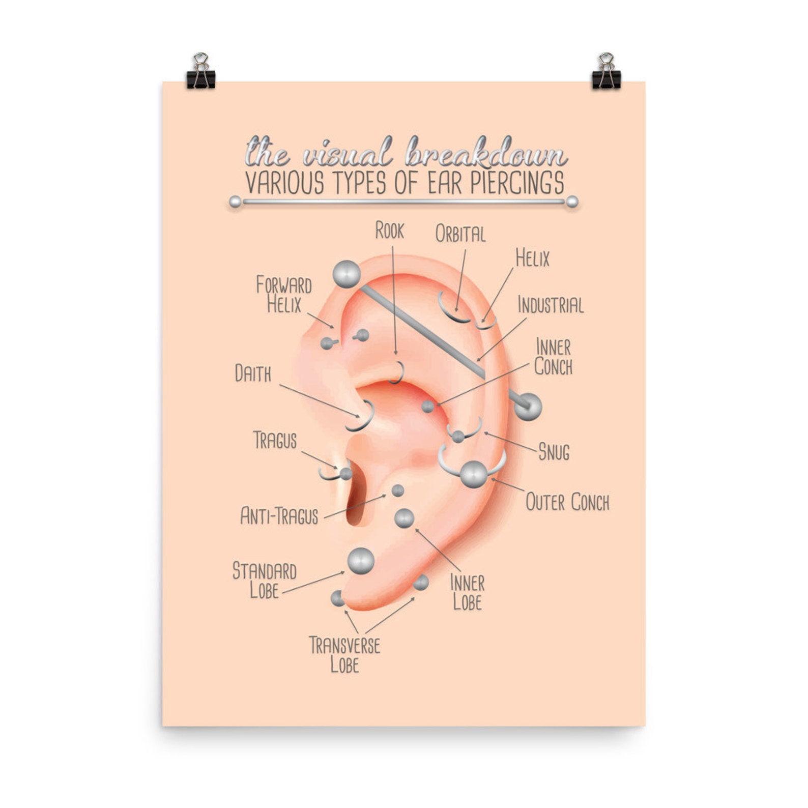Ear Piercing Chart Infographic Print Wall Art Updated Version Poster - Etsy