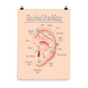 Ear Piercing Chart Infographic Print Wall Art Updated Version Poster - Etsy