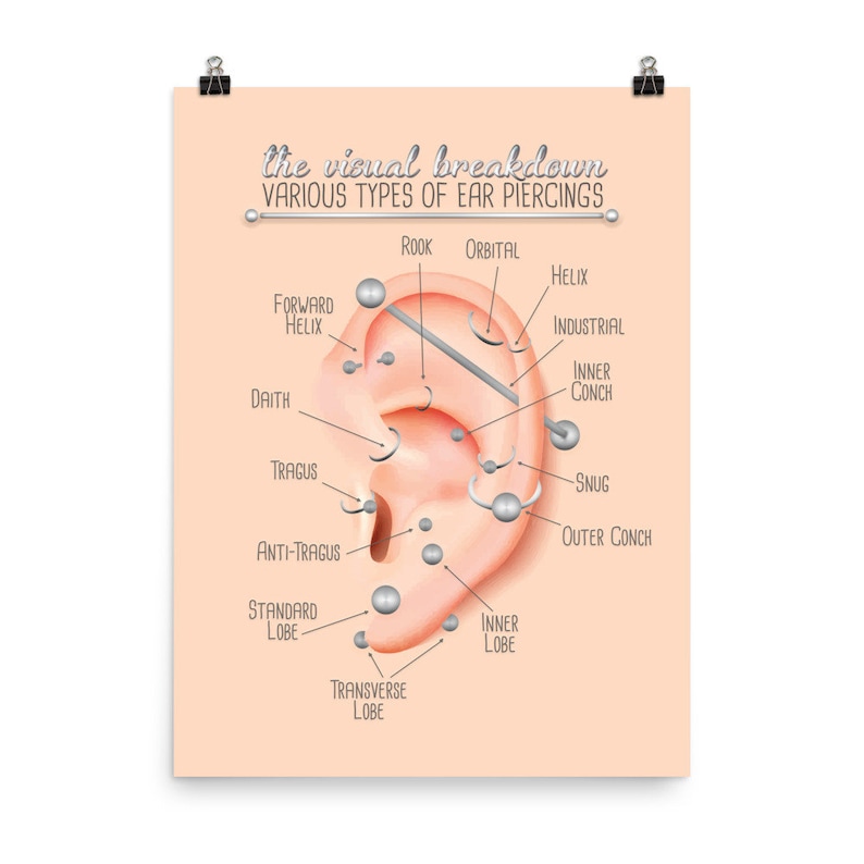 Ear Piercing Chart Infographic Print Wall Art Updated Version Poster - Etsy
