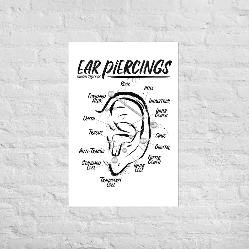 Ink Ear Piercing Chart Print Various Types of Ear Piercings Poster Ear ...