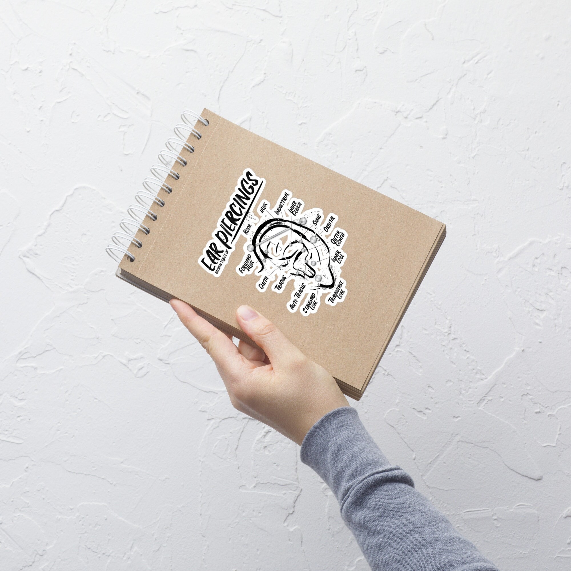 Ink Ear Piercing Chart Sticker Various Types of Ear Piercings Stickers ...