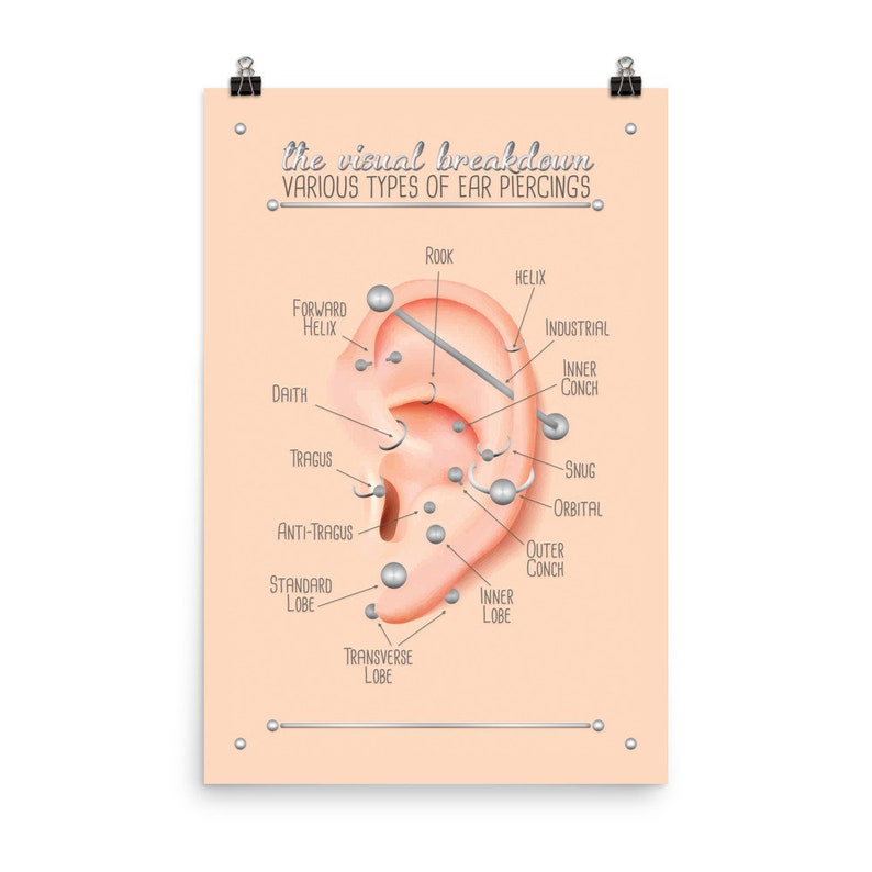 Ear Piercing Chart Print Showing Various Locations of Piercings Print Perfect for Professional ...