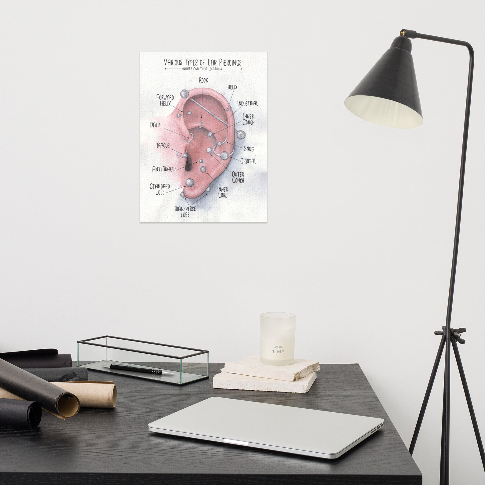 Watercolor Ear Piercing Chart Art Various Ear Piercing Locations ...