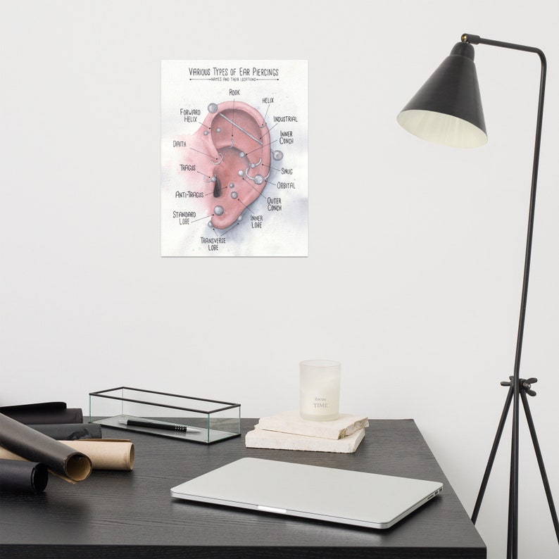 Watercolor Ear Piercing Chart Art Various Ear Piercing Locations ...