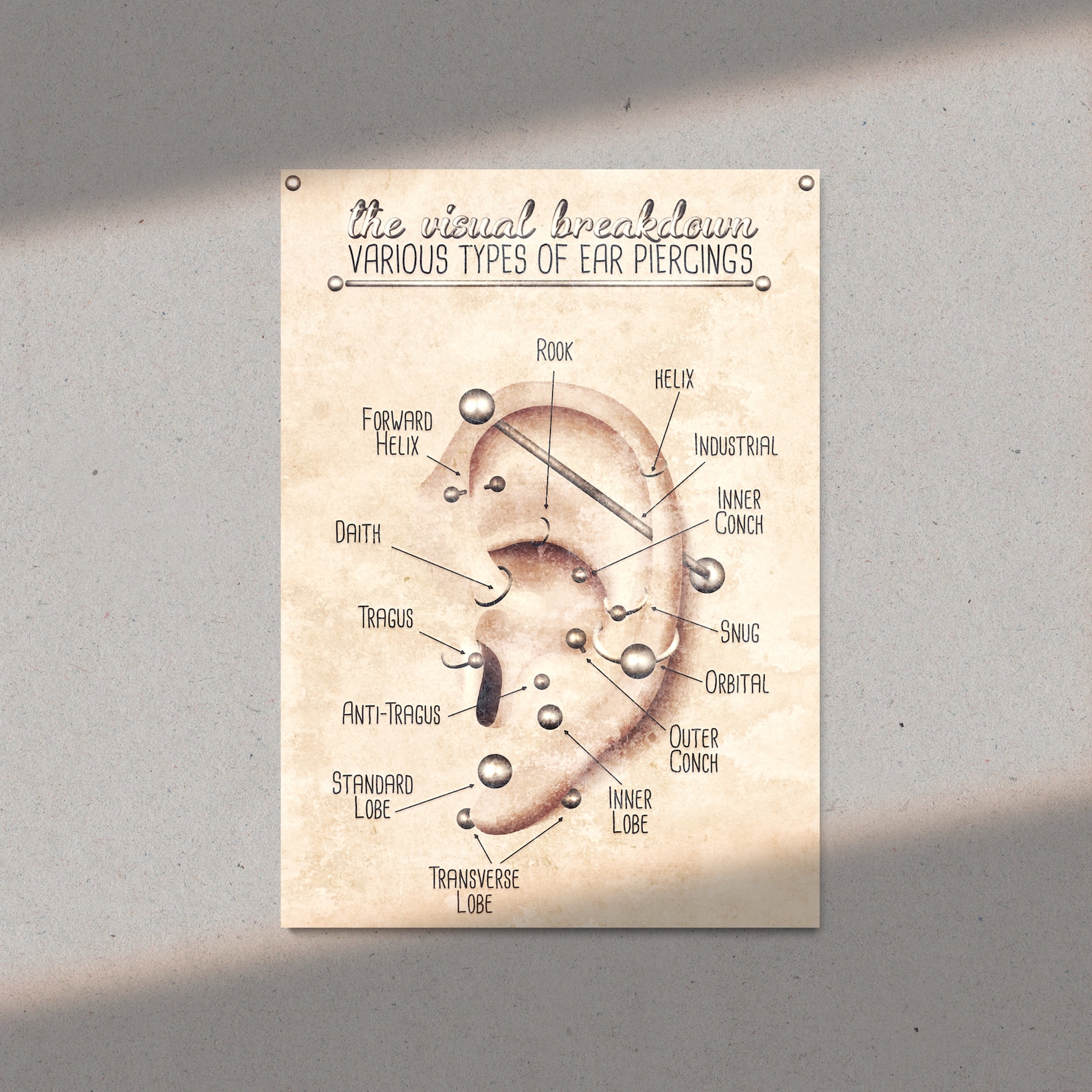 Ear Piercing Chart, Vintage Grunge, No Care Instructions, Poster - Etsy