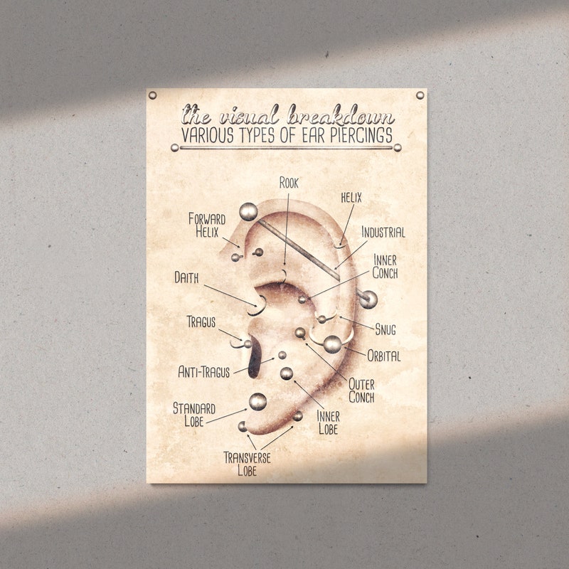 Ear Piercings Chart - Etsy