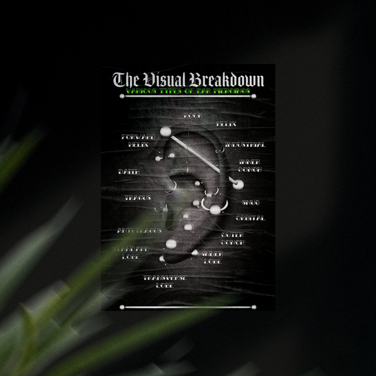 Grunge Ear Piercing Chart Wall Art Infographic Poster (matching for ...