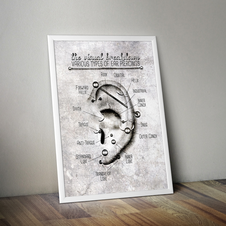 Ear Piercing Chart Infographic Print Wall Art Updated Grunge Grey ...