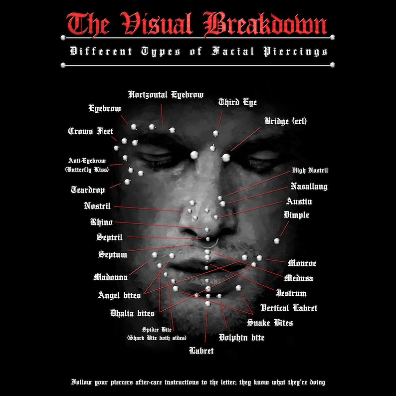 Face Piercings Chart Poster Infographic Gothic Various Types of Face ...