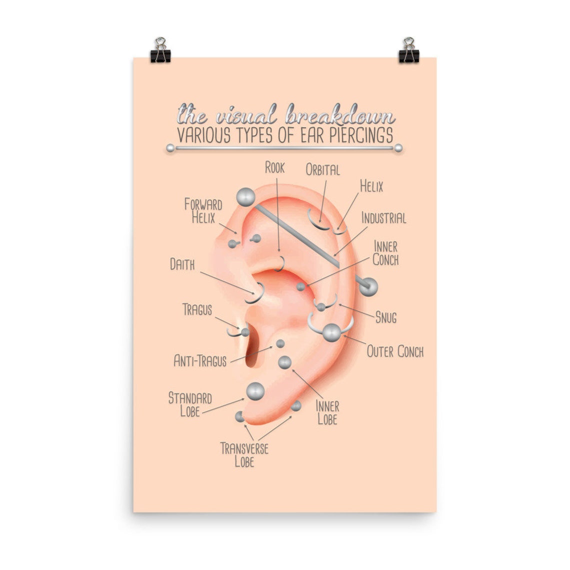 Ear Piercing Chart Infographic Print Wall Art Updated Version Poster - Etsy