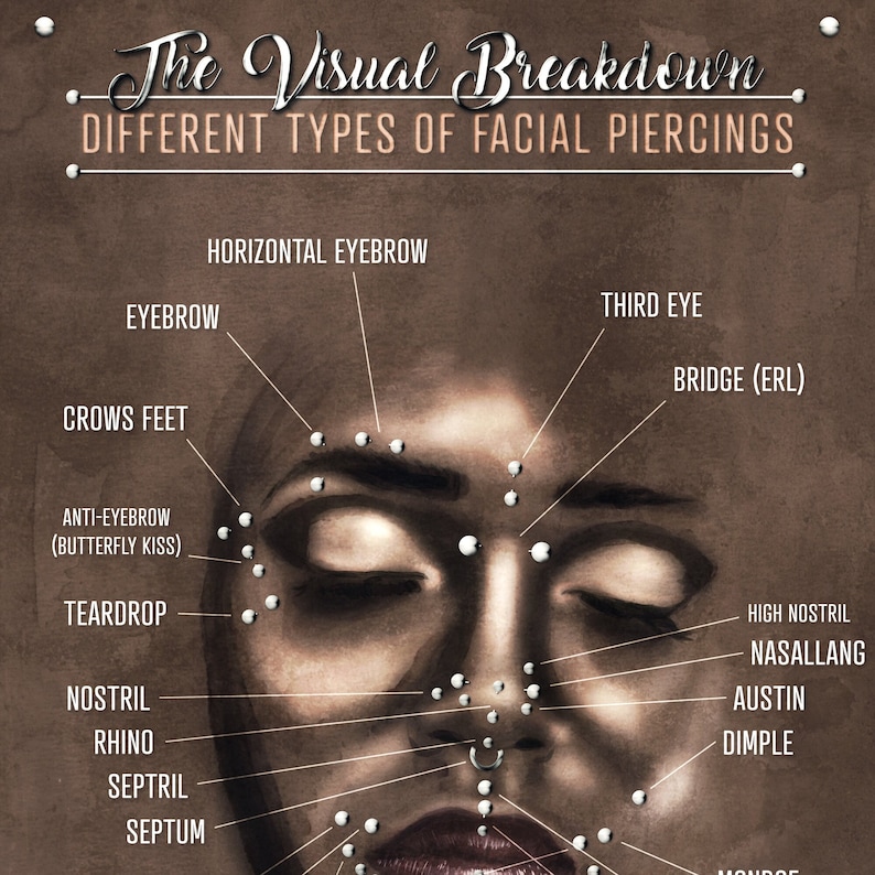 Face Piercings Infographic Wall Decor Chart Vintage Grunge Poster Face ...