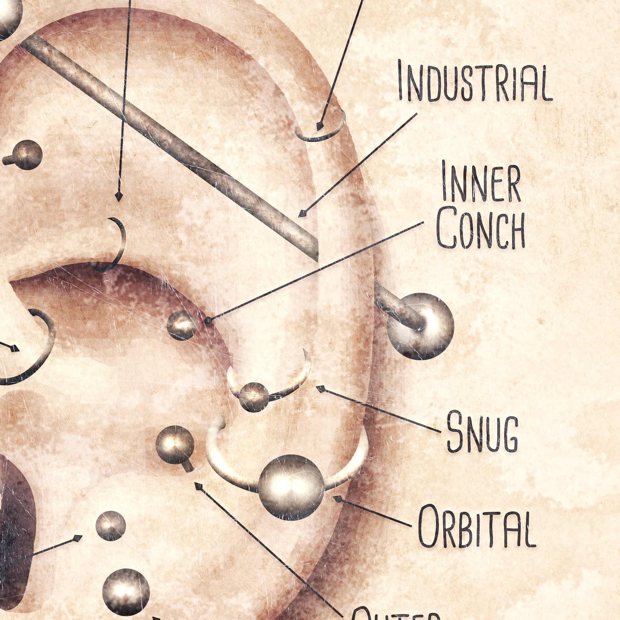 Ear Piercing Chart, Vintage Grunge, No Care Instructions, Poster - Etsy
