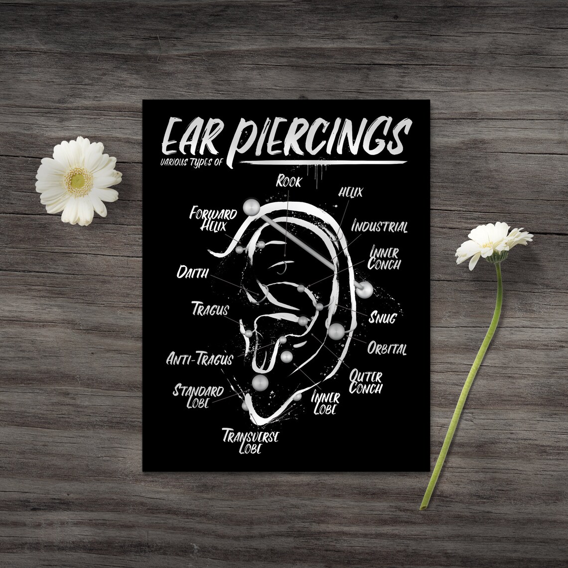 Ear Piercing Chart Infographic Print Wall Art Black and White Ink ...