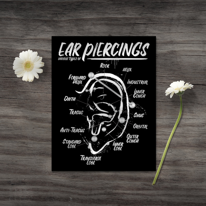 Ear Piercing Chart Infographic Print Wall Art Black and White Ink ...